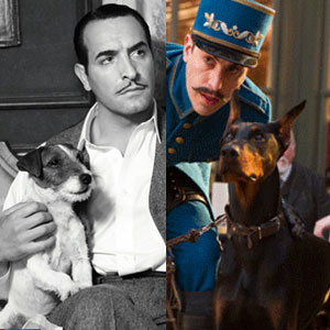 Dog Stars: Celebrity Canines