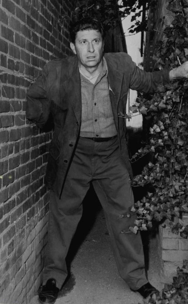 The Fugitive’s The One-Armed Man (Bill Raisch) from TV’s Greatest ...