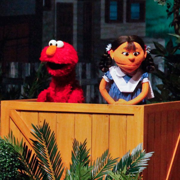 Elmo Gone Rogue? Pakistani Sesame Street Shut Down