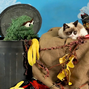 Oscar the Grouch Challenges Grumpy Cat to a Grouch Off | E! News