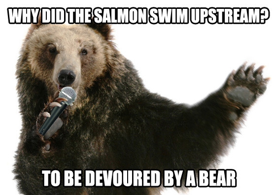 Salmon from No One Told Us NOT To Make a Bear Comedian Meme | E! News