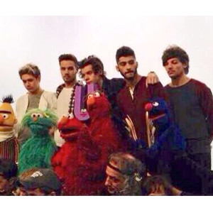 One Direction Poses With Sesame Street Cast - E! Online
