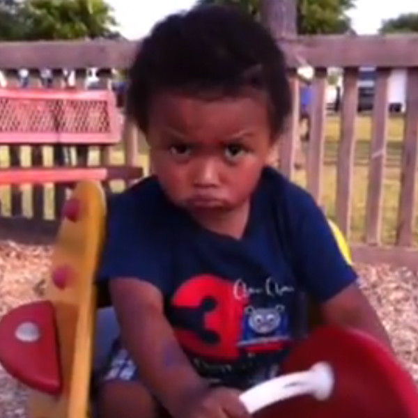 The Best Vine Videos Of 2013 Watch Now