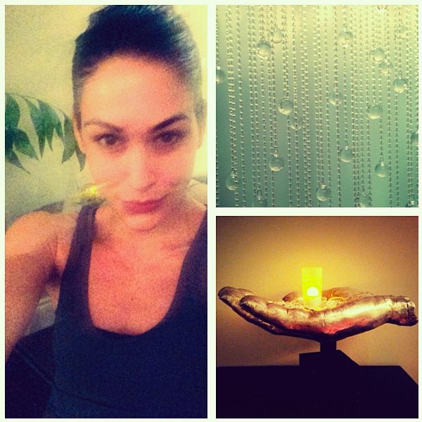 Briannagc From Brie Bellas Instagram Fotos E News