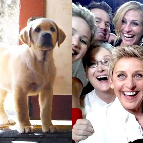 And the Most Viral Moment of 2014 Is... - E! Online - CA