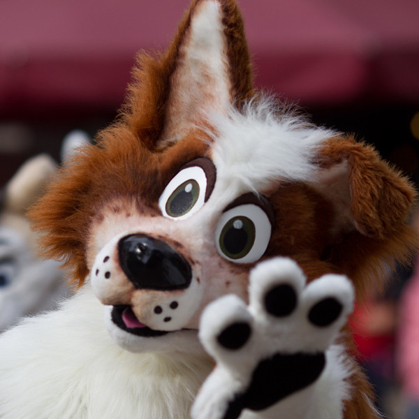 Watch Mika Brzezinski Learn About "Furry" Conventions