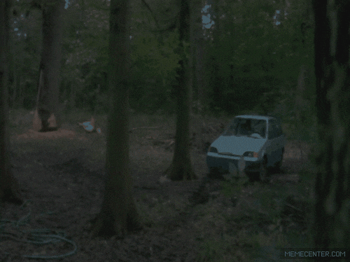 Man, eff your car. Trees! from Gifs of Trees Saying, Awww, Hell No | E ...