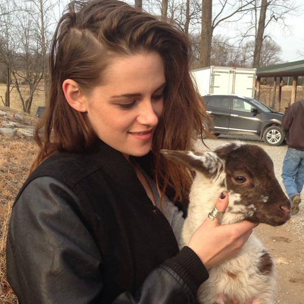 K.Stew Cuddles With a Goat and It's Adorable