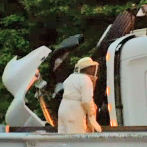 20 Million Bees Escape After Truck Accident - E! Online