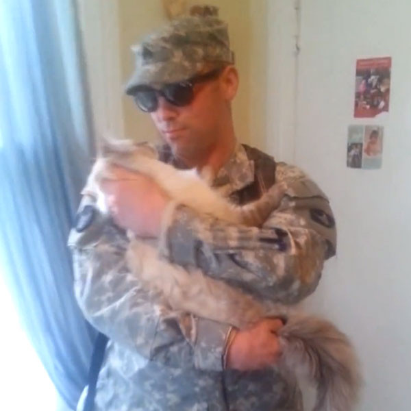 Watch This Excited Cat Welcome Home a Soldier
