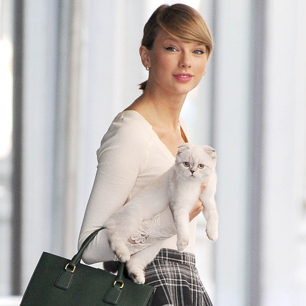 Taylor Swift's Ode to the Fall Season Is Perfect - E! Online