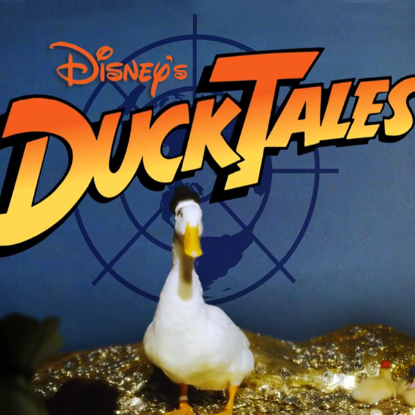 Disney Re-Creates DuckTales Intro With Real Ducks: Watch Now! - E! Online