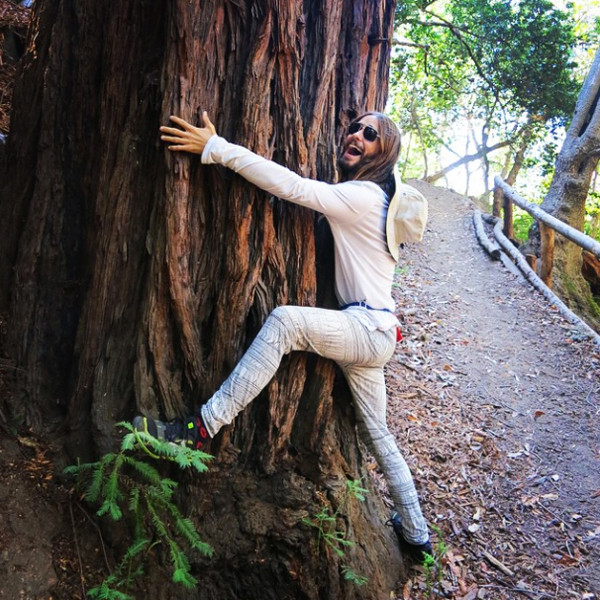 Photos from Jared Leto Hugging Things