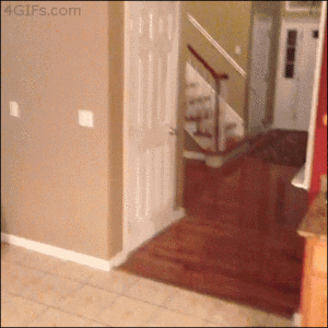 Children Sustaining Minor Injuries from Finally, a Gif Gallery of ...