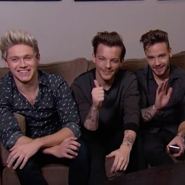 Meet the New Member of One Direction