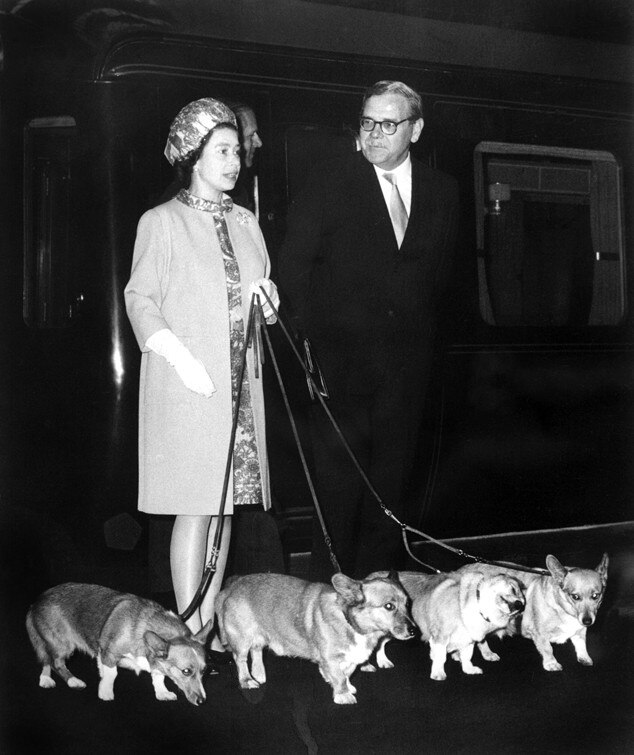 A Historical Retrospective of Queen Elizabeth's Corgi Obsession | E! News