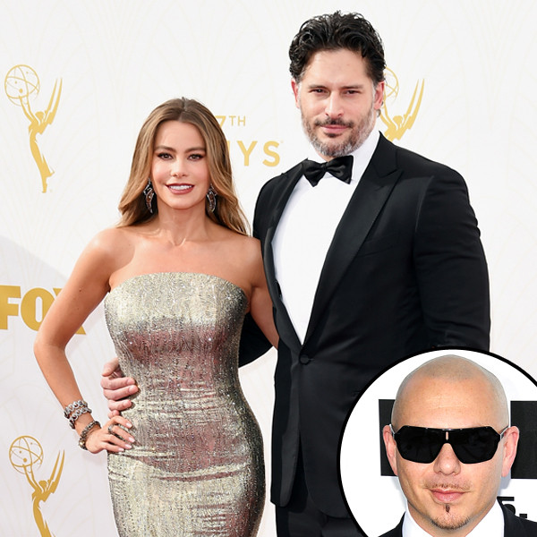 Pitbull Relives His Performance at Joe and Sofia's Wedding