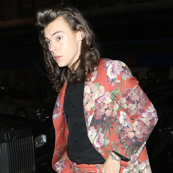 Harry Styles' Solo Career Seems to Be Happening