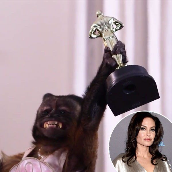 ''Angelina Jolie of Animal Stars,'' Among Pawscars Winners: Pics