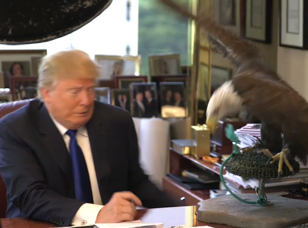 Donald Trump Nearly Attacked by Bald Eagle, and There's Video - E ...