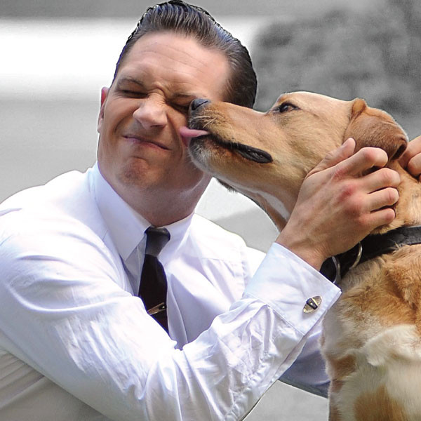 Tom Hardy Writes the Most Touching Tribute to His Late Dog Woody