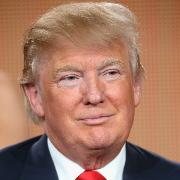 Donald Trump Doesn't Deny Calling Breastfeeding Lawyer ''Disgusting ...