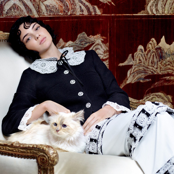 Kendall Jenner Cuddles Up to Karl Lagerfeld's Cat in Vogue - E! Online