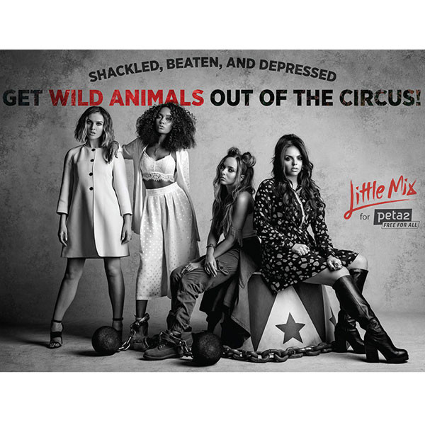 Little Mix Joins PETA to ''Get Wild Animals Out of the Circus''