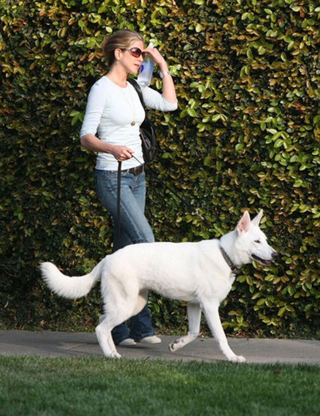 How Jennifer Aniston's Dogs Got Wedding-Ready! | E! News