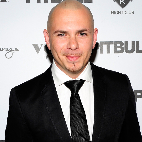 Pitbull Reveals His Plans for 2016, Which Includes Helping Kids