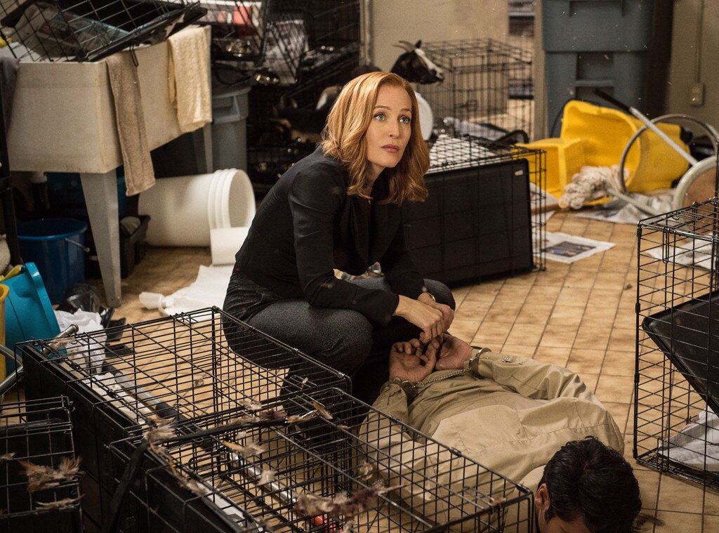 It's Scully's Birthday! Celebrate with these X-Files GIFs | E! News