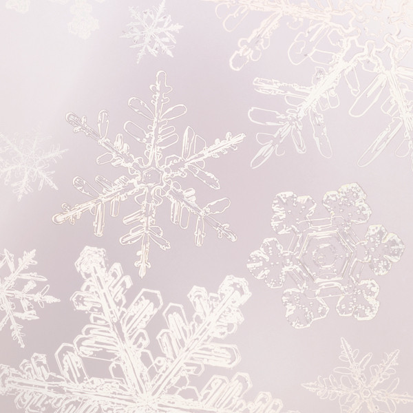 Snowflakes for Your Skin? Celebs Are Doing It - E! Online