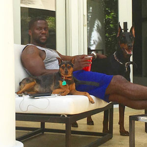 The Not-So-Secret Lives of Kevin Hart & Jenny Slate's Dogs