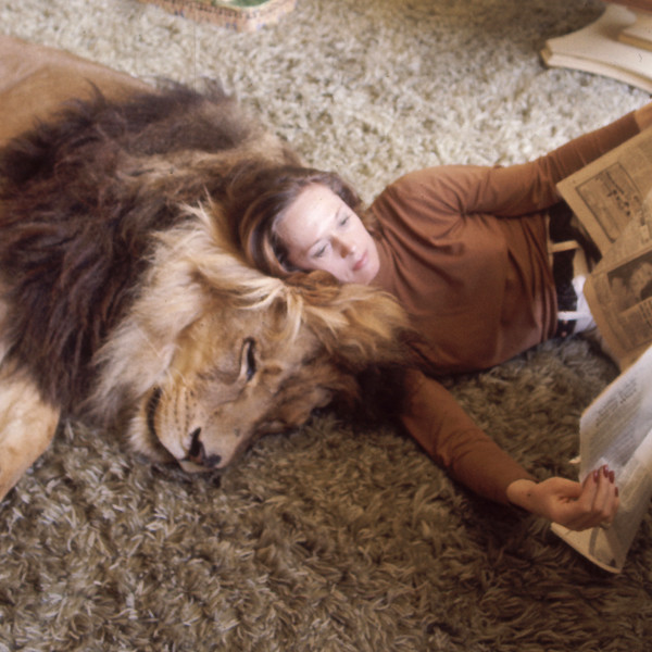 Remember That Time Melanie Griffith Owned a Pet Lion? - E! Online