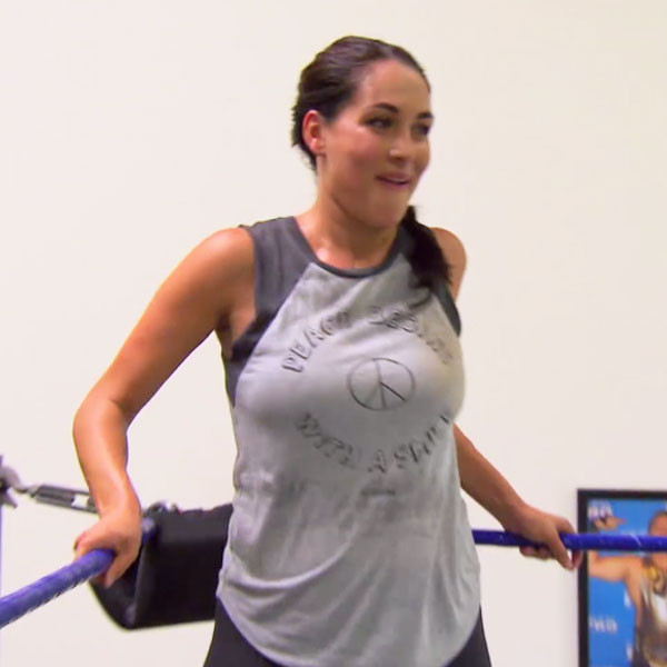 Nikki & Brie Bella Are Ready For a Comeback on Total Divas