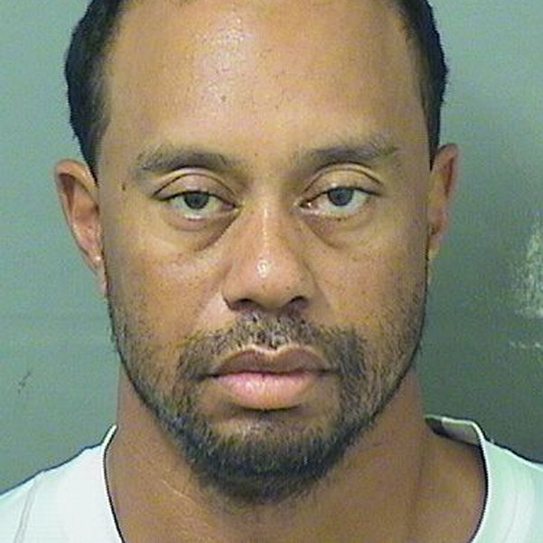 Tiger Woods Arrested on a DUI Charge in Florida - E! Online