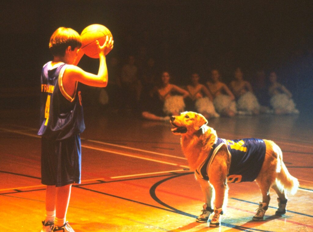 The Surprising Truth About Air Bud's Canine Superstar | E! News