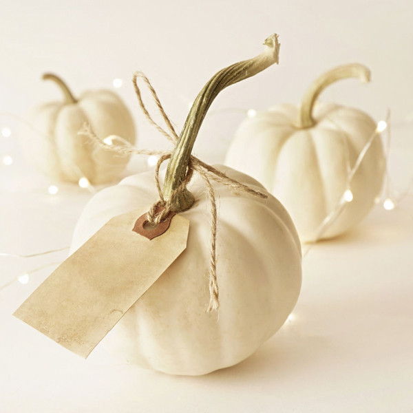 Cool Halloween Décor That Will Impress Any Crowd