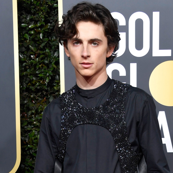 Timothée Chalamet Recalls Shooting Beautiful Boy Scene 20 Times | E! News