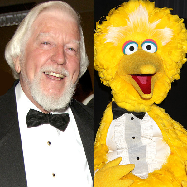 Caroll Spinney, Sesame Street's Big Bird, Dead at 85 - E! Online