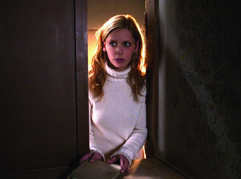 Photos from Facts About The Grudge Franchise - E! Online