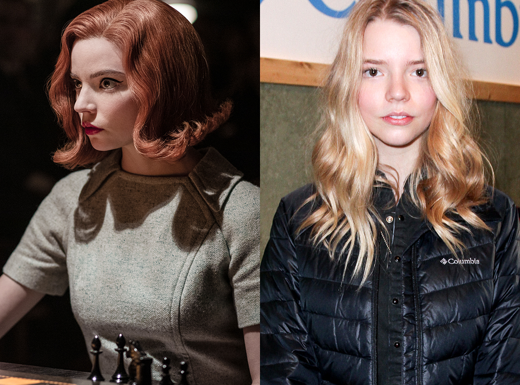 Where We've Seen The Queen's Gambit Cast Before