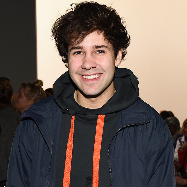 Go Inside David Dobrik's Epic $9.5 Million Home - E! Online