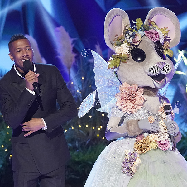 The Masked Singer Unmasks the Mouse