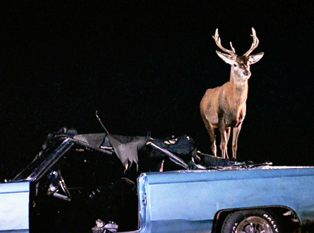 The Deer Scene Was One of the Hardest to Shoot from 25 Secrets About Tommy Boy in Honor of the ...
