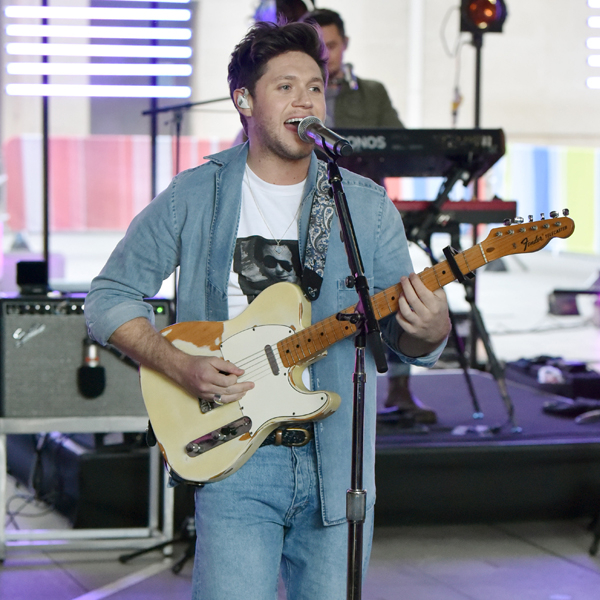 Why Niall Horan's Song Dear Patience Has Extra Special Meaning | E! News