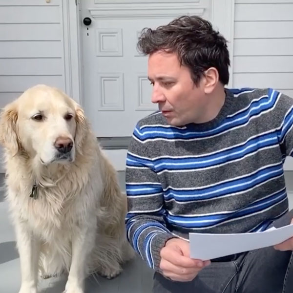 Watch Jimmy Fallon Get Trolled By His Dog During Hilarious Interview ...