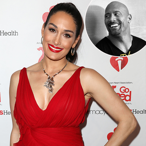 Nikki Bella Responds to Social Media Backlash Involving Dwayne Johnson ...