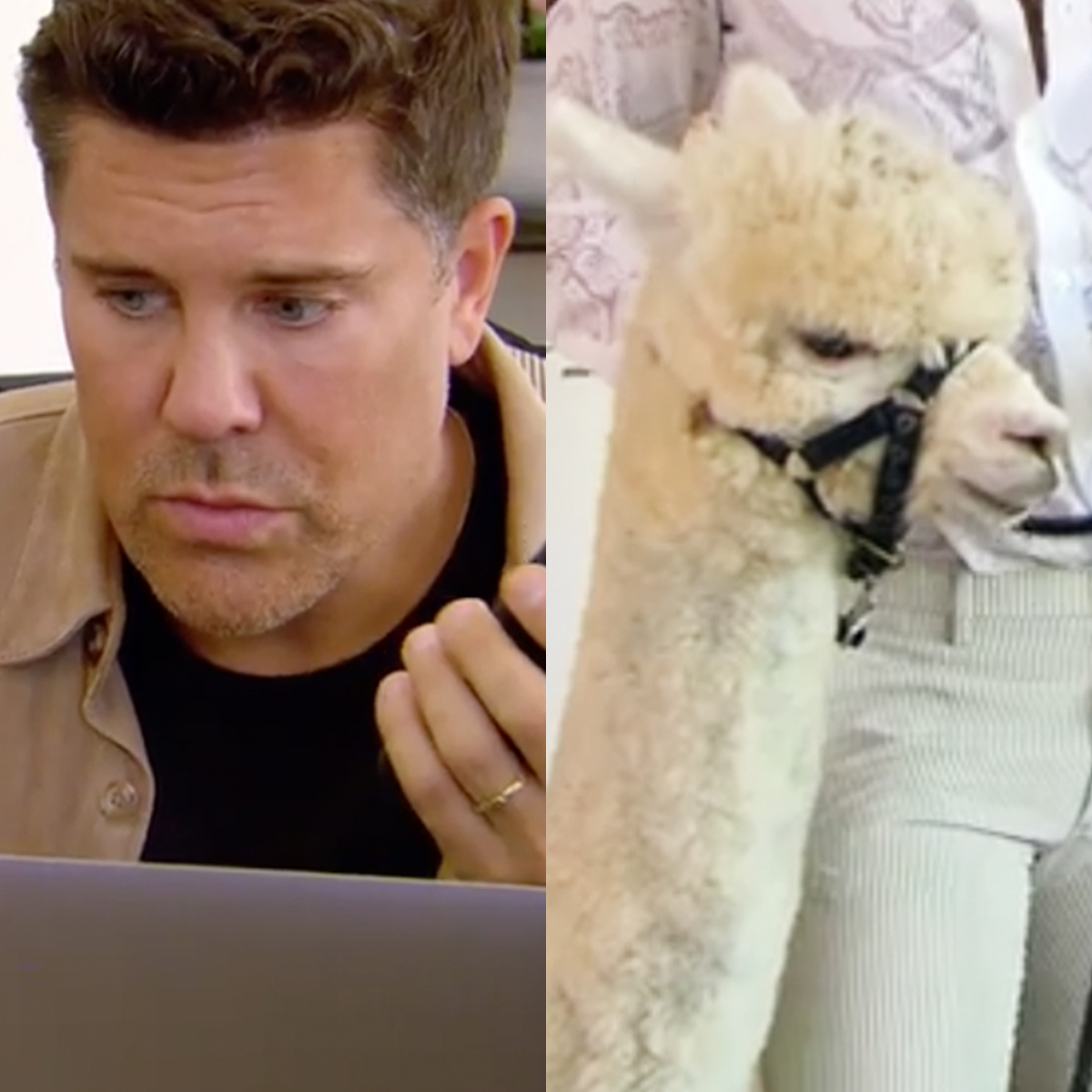 Fredrik Eklund Sells an Apartment to an Alpaca on MDLNY