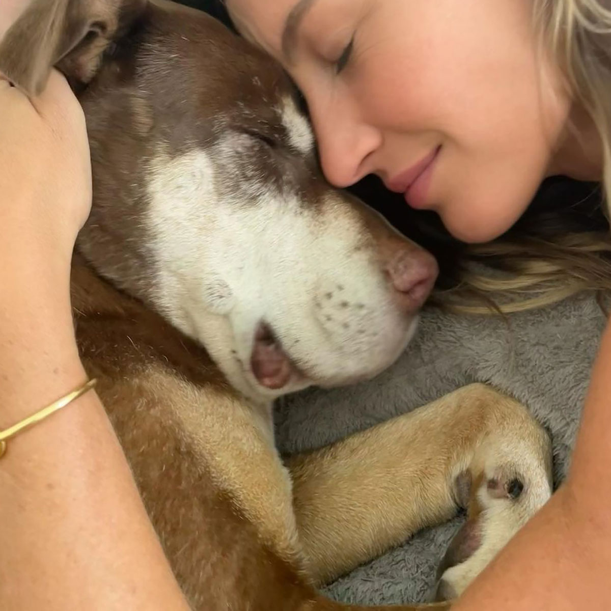 Gisele Bündchen and Tom Brady Mourn Death of Family Dog